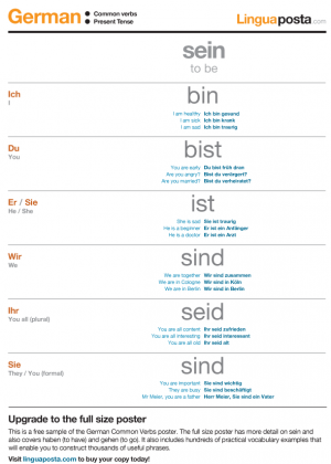 Common German Verbs | LinguaPosta