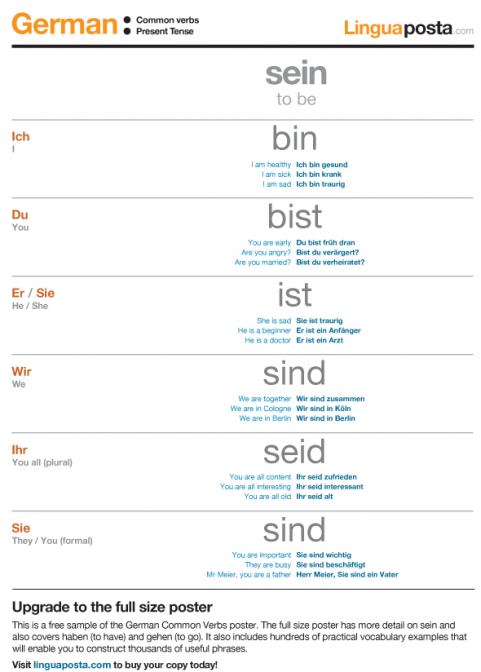 Common German Verbs | LinguaPosta